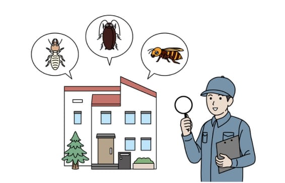 Expert Advice - Only Bugs